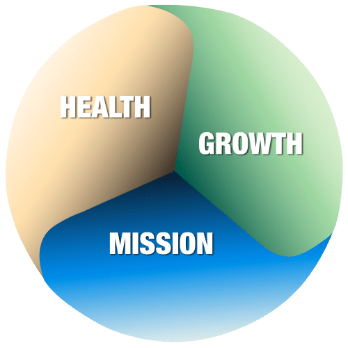 Next Steps - IBSA