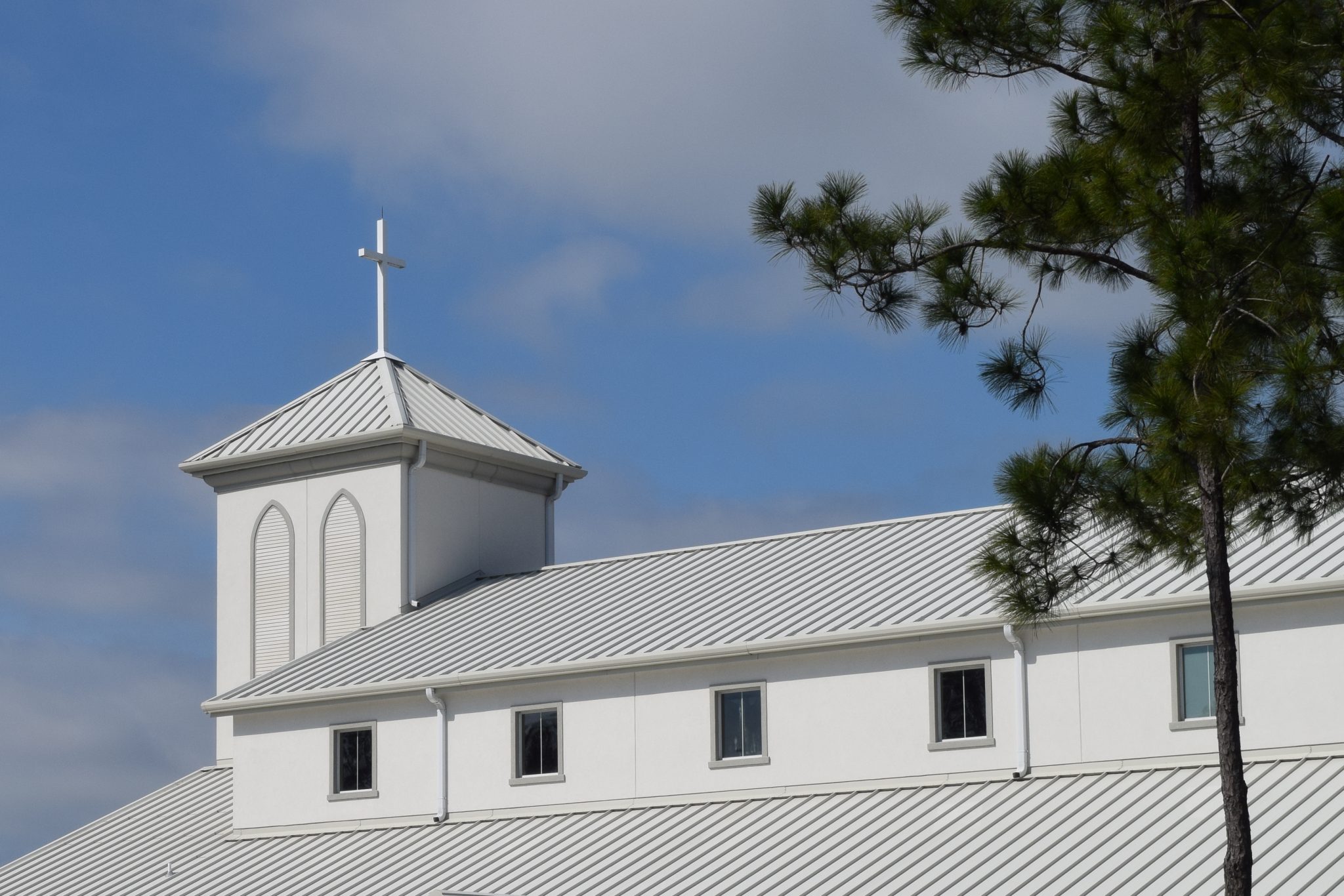 REVITALIZATION OR REPLANTING - IBSA